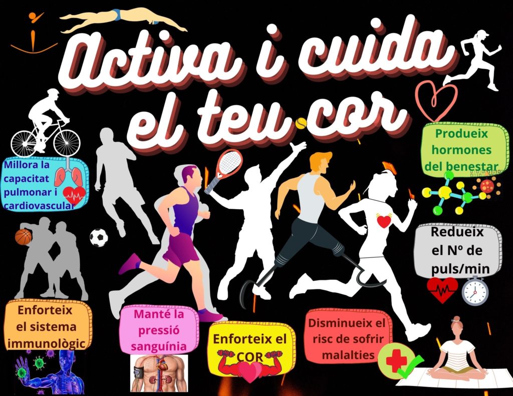 6è.UD 3. Òrgans del nostre cos – Brian Puertos Soler